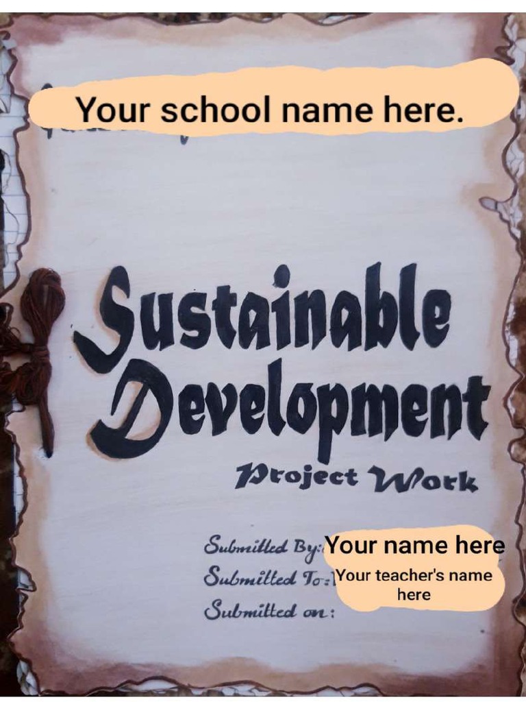 Sustainable Development Class 10 Project | PDF