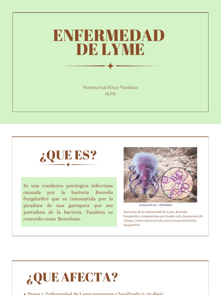 Enfermedad de Lyme | PDF | Enfermedad de Lyme | Microbiología