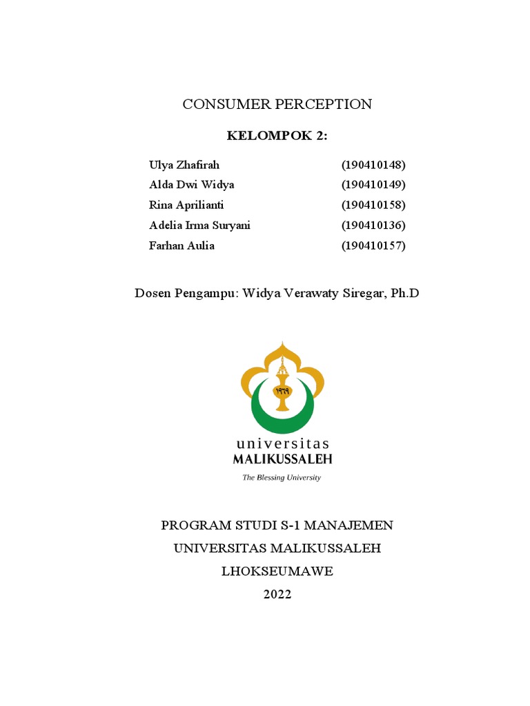 Persepsi Konsumen | PDF