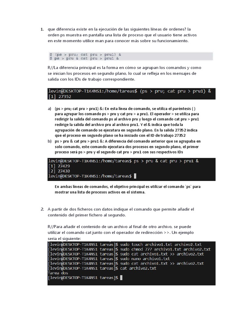 Capitulo Programacion Shell Ejercicio 1.7 | PDF | Archivo de ...