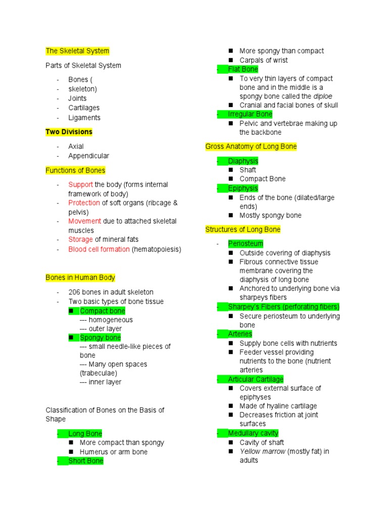 The Skeletal System | PDF | Bone | Skeleton