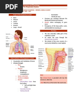 RESPIRATORY SYSTEM WORKSHEET Answer Key | PDF | Respiratory Tract ...