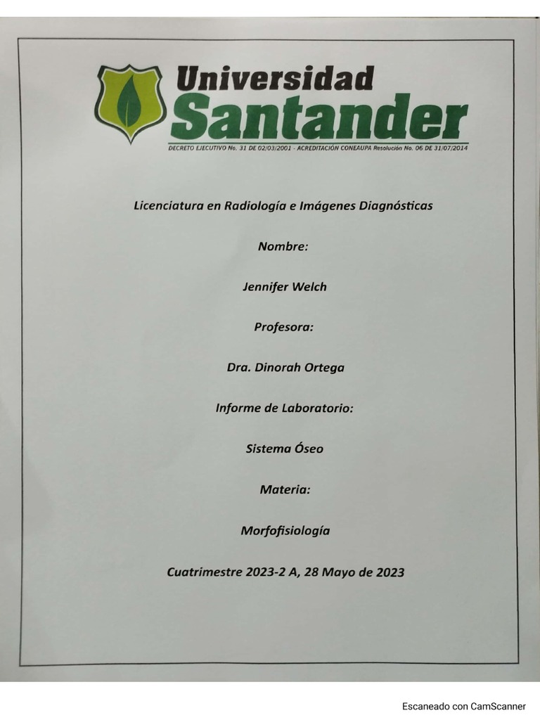 Esqueleto Humano - Informe de Laboratorio | PDF