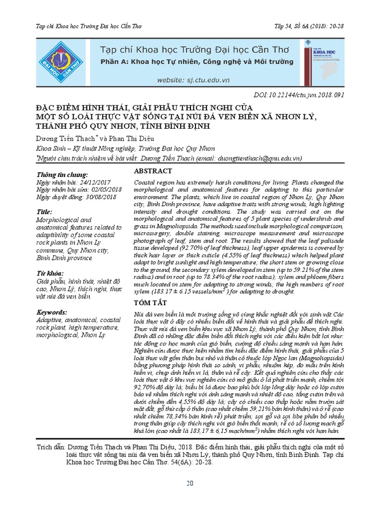 03 TN Duong Tien Thach (20 28) 91 | PDF