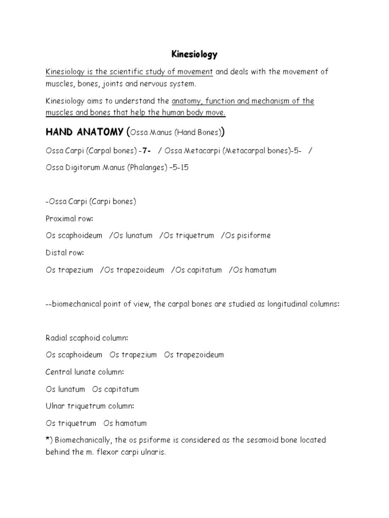 Kinesiology 1 Note | PDF | Hand | Thumb