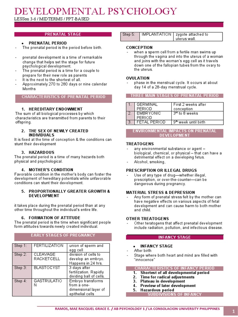 Psy 2 M Pdf Prenatal Development Child Development