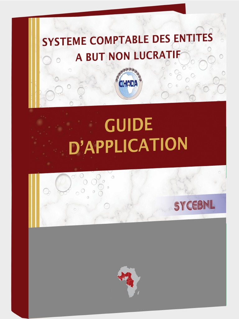 Guide D Application Du SYCEBNL de L OHADA 1681978338 | PDF | Dépréciation | Subvention