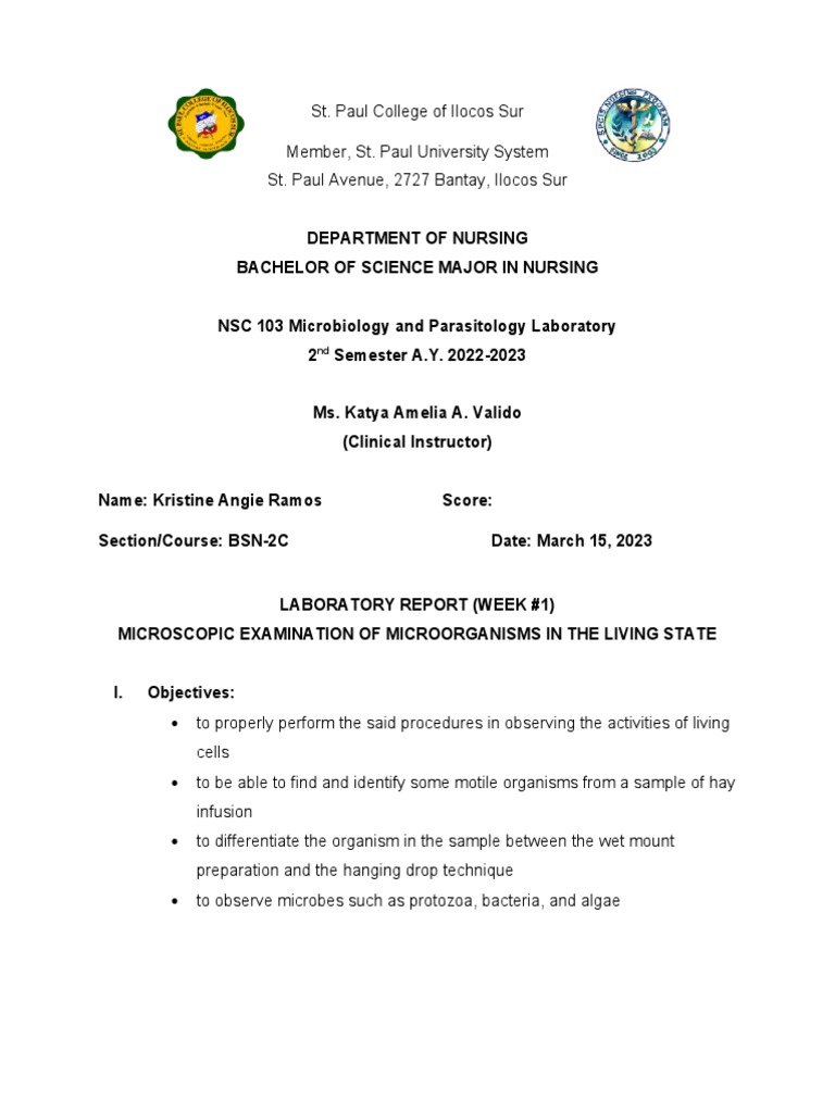 2nd-Sem-Micro-Lab 3 | PDF