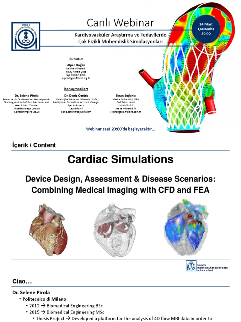 FlowVision CFD - Cardiac Simulations (MMO) | PDF
