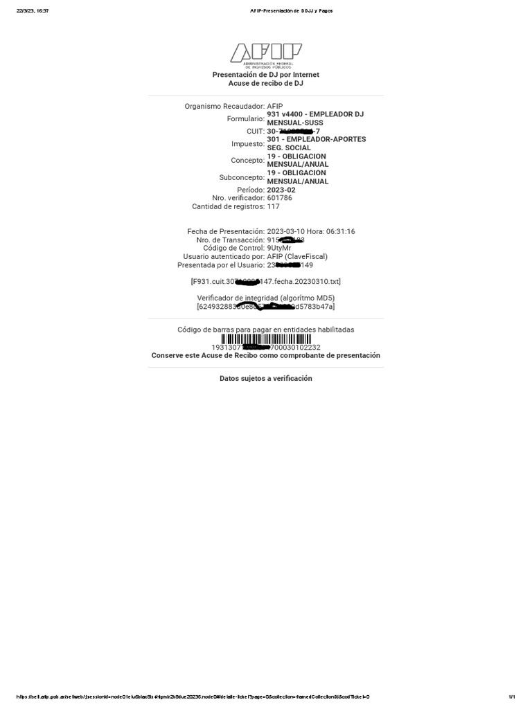 AFIP-Presentación de DDJJ y Pagos 1 | PDF