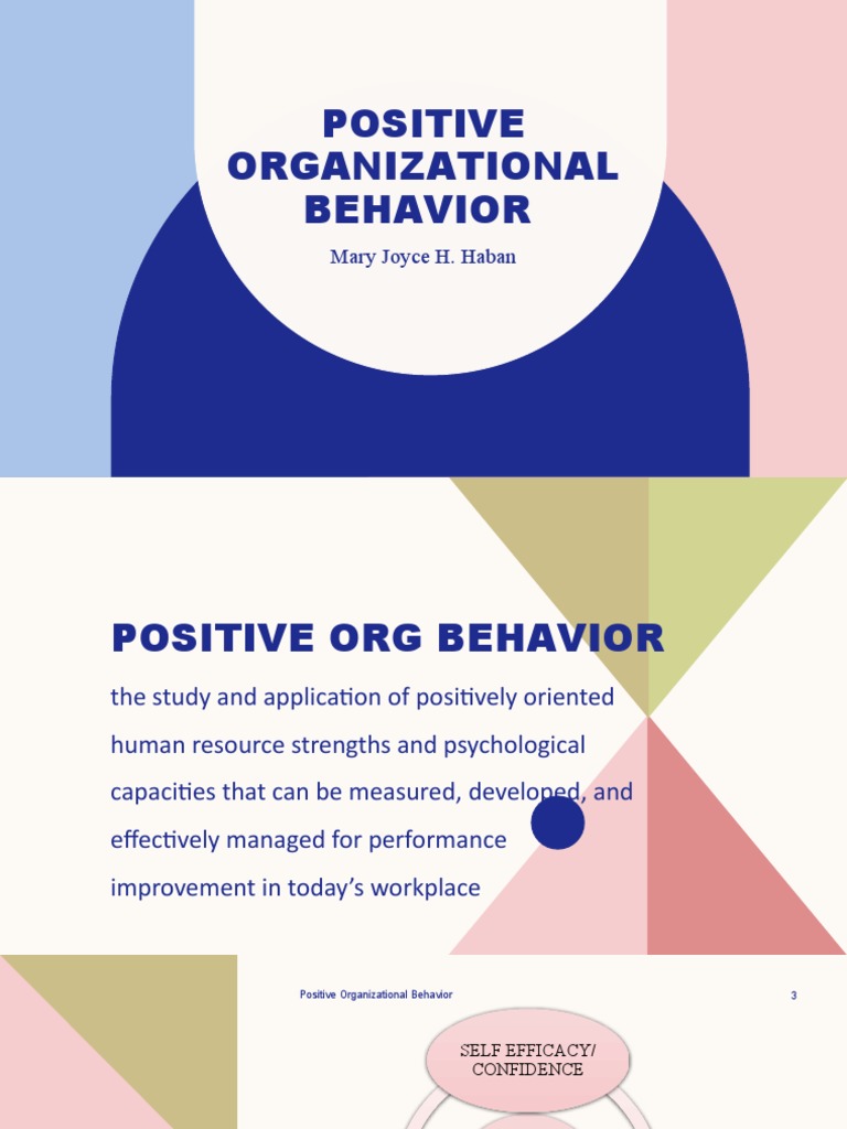 Positive Organizational Behavior | PDF