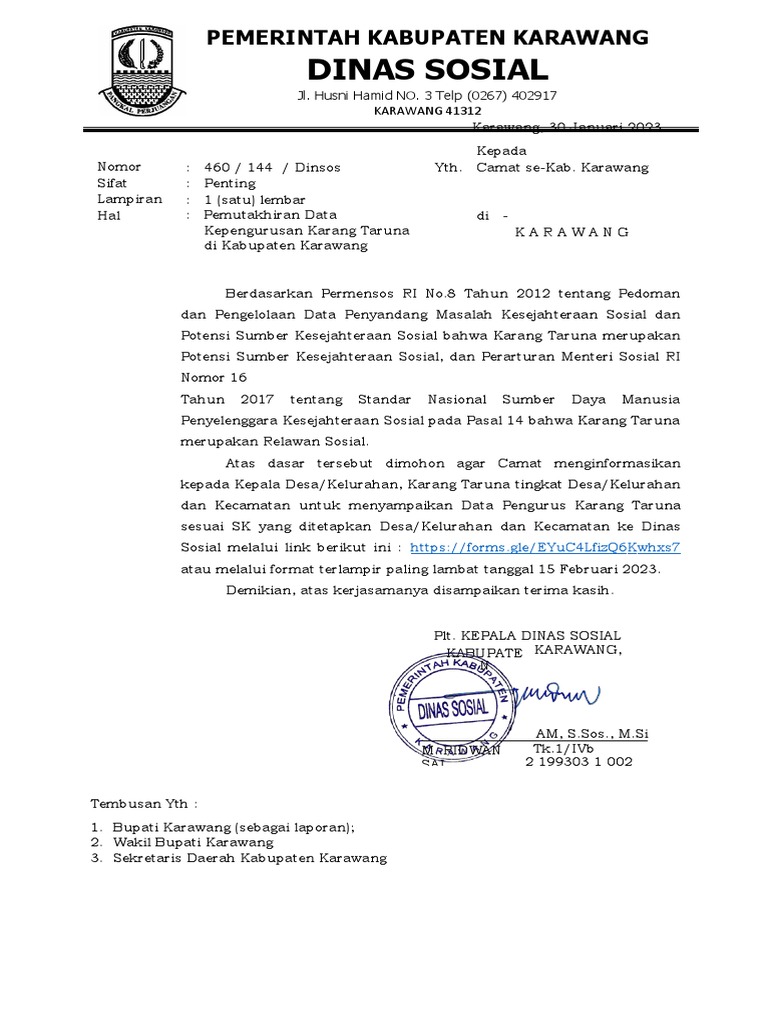 Pemutakhiran Data Karang Taruna Karawang | PDF