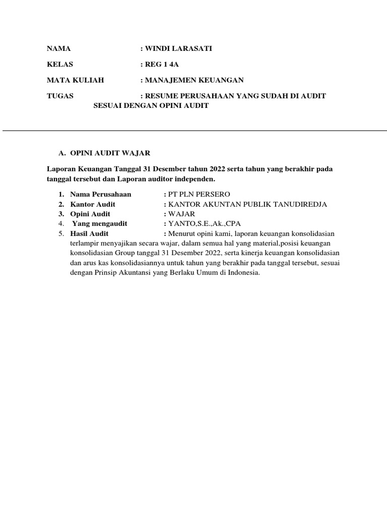 Resume Audit Windi | PDF