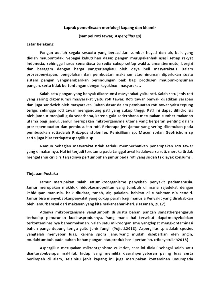 Laprak Pemeriksaan Morfologi Kapang Dan Khamir | PDF | Kesehatan Holistik