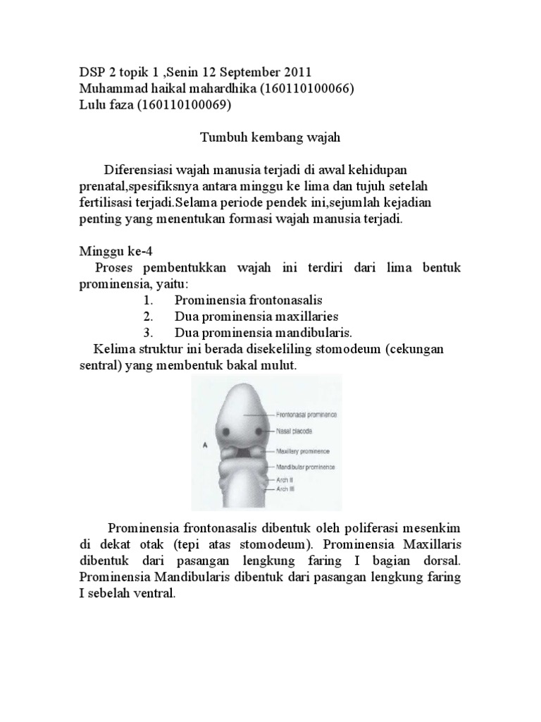 Pembentukan Prominensia Wajah Embrio | PDF | Pengembangan Diri ...