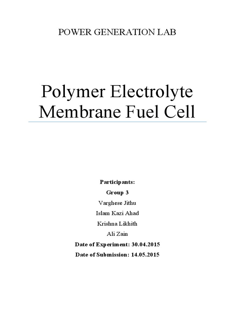 Fuel Cells Pdf