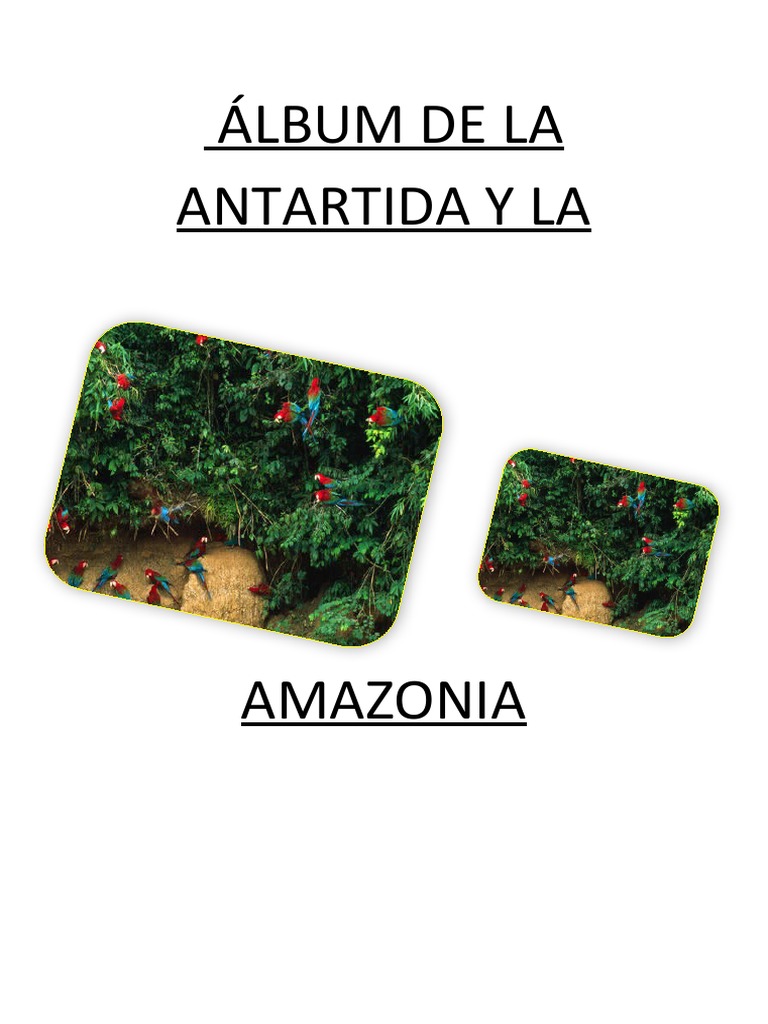 Álbum de La Antartida y La Amazonia | PDF