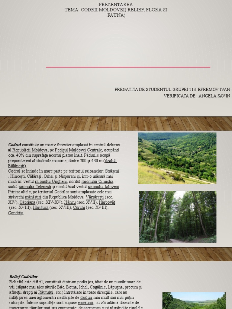 Prezentarea Codrii | PDF