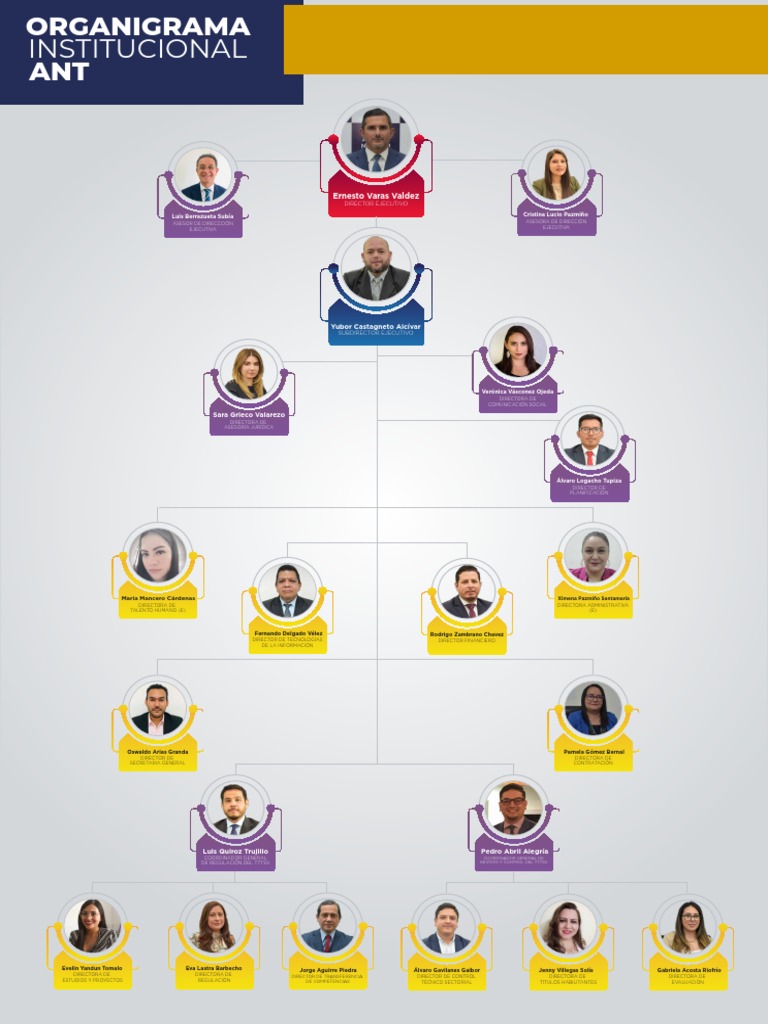 Organigrama Ant | PDF