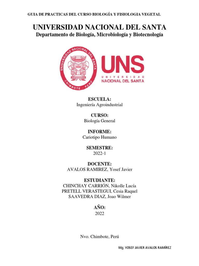 Práctica de Tejidos Meristemáticos | PDF | Raíz | Tallo de la planta