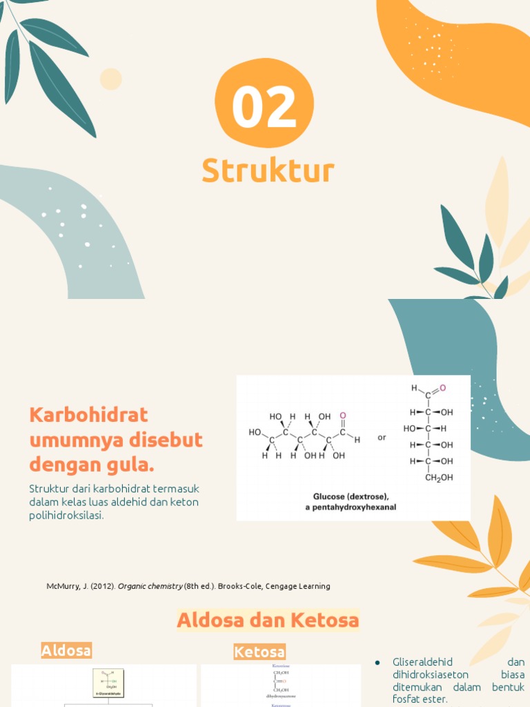 Struktur Karbohidrat | PDF