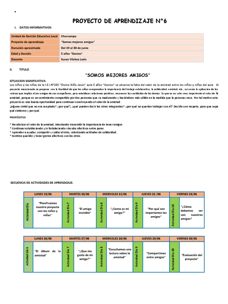 Proyecto de Aprendizaje N°6 - Somos Mejores Amigos | PDF