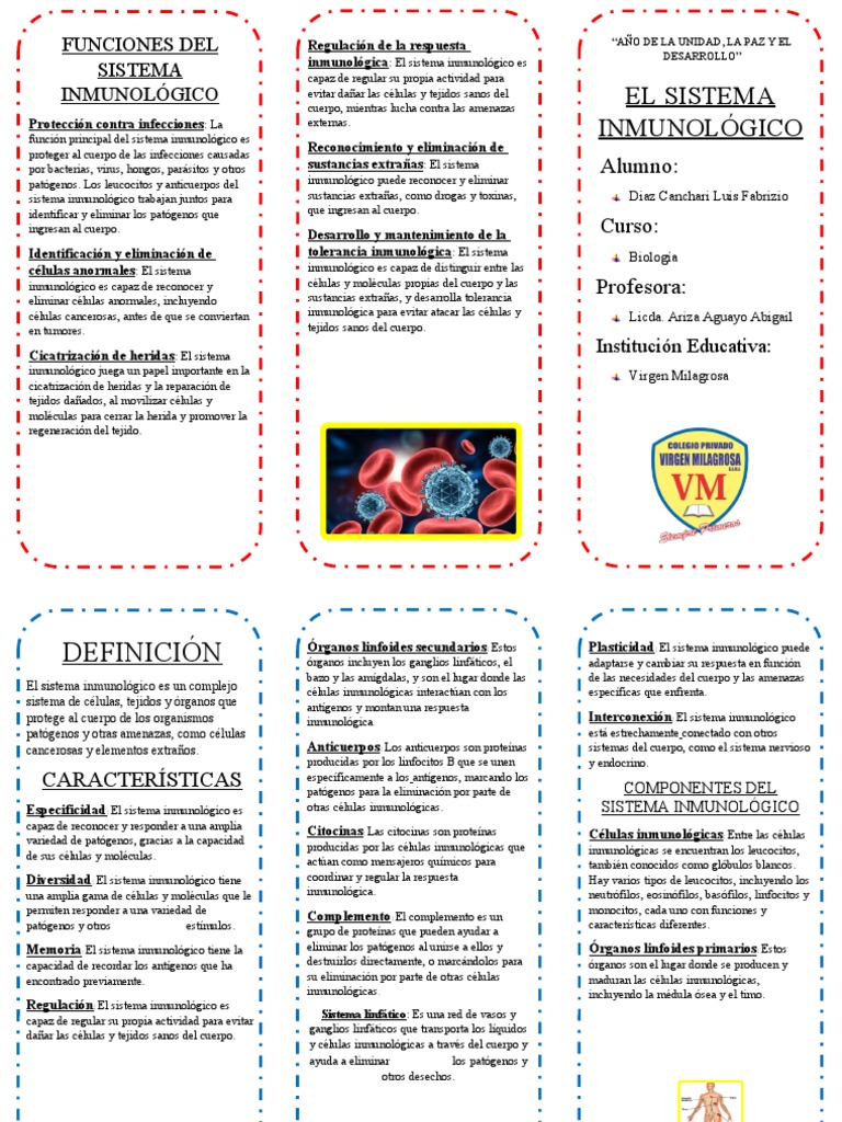 Triptico Del Sistema Inmunológico | PDF | Sistema inmune | Leucocito