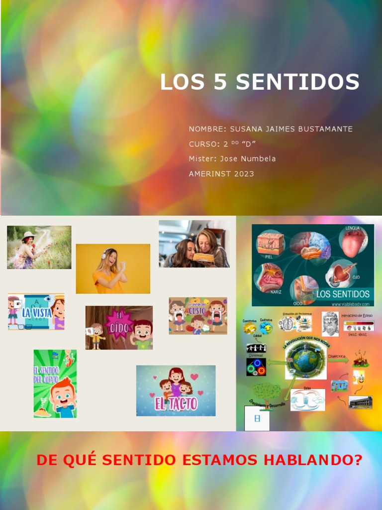 Los 5 Sentidos | PDF | Oído | Escuchando