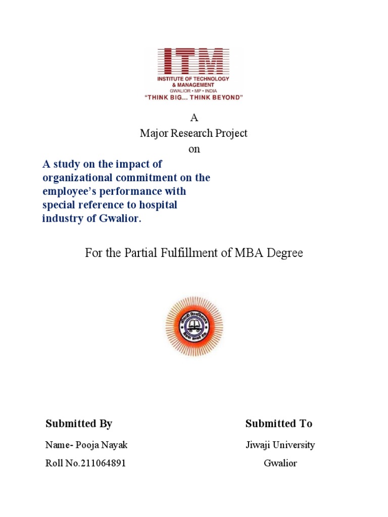 Impact of Commitment on Hospital Performance | PDF