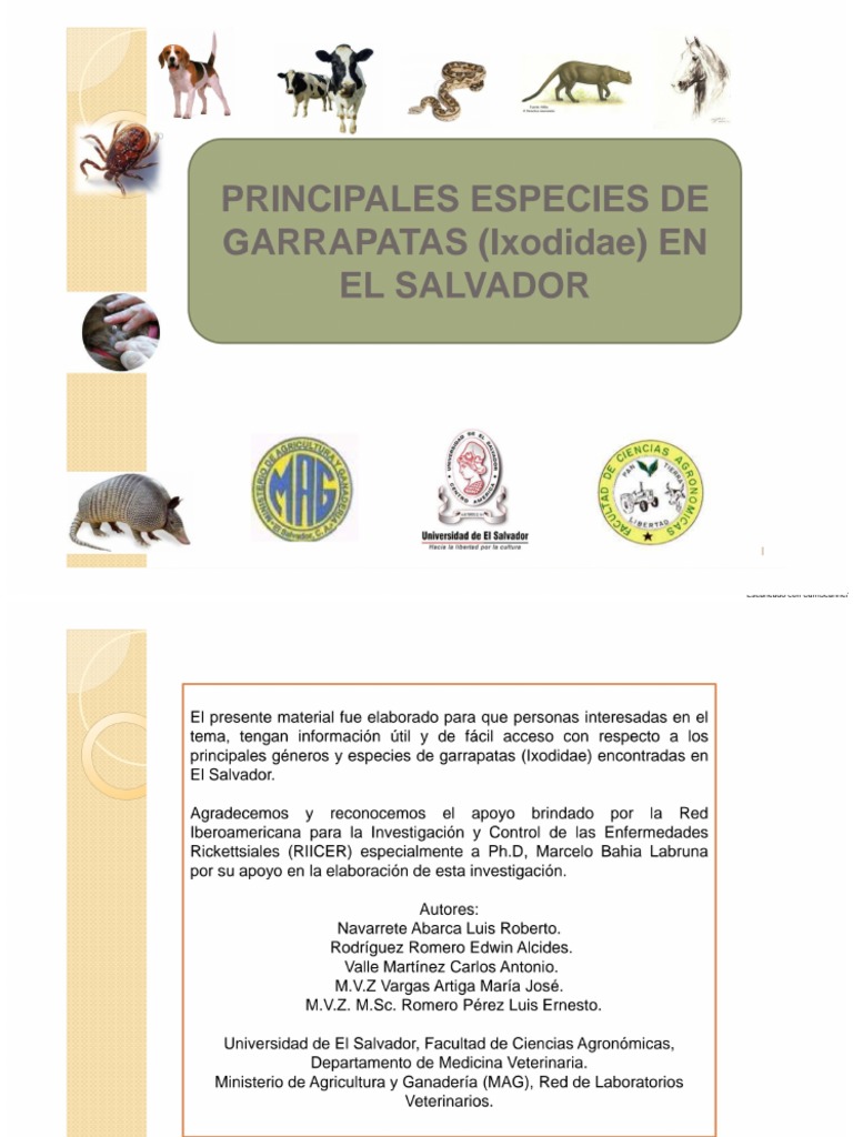 Catalogo de Garrapatas | PDF