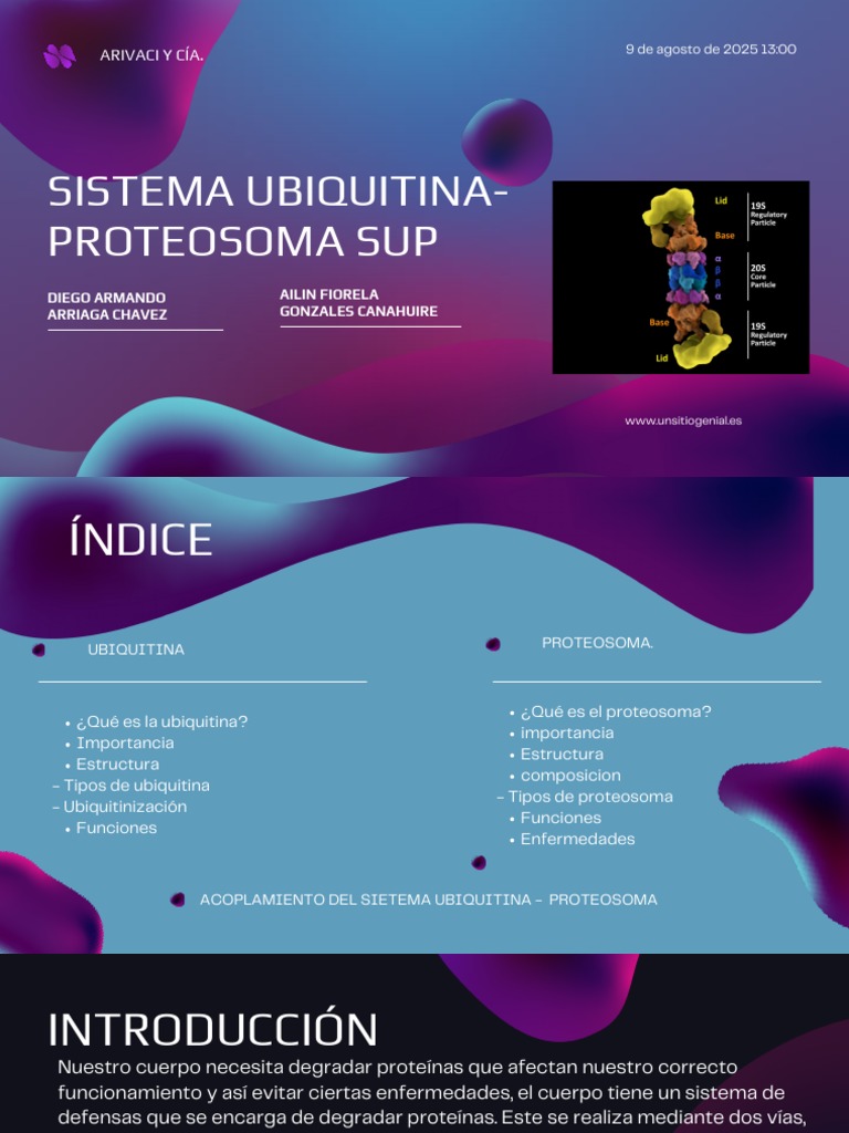 Sistema Ubiquitina-Proteosoma: Funciones y Enfermedades | PDF