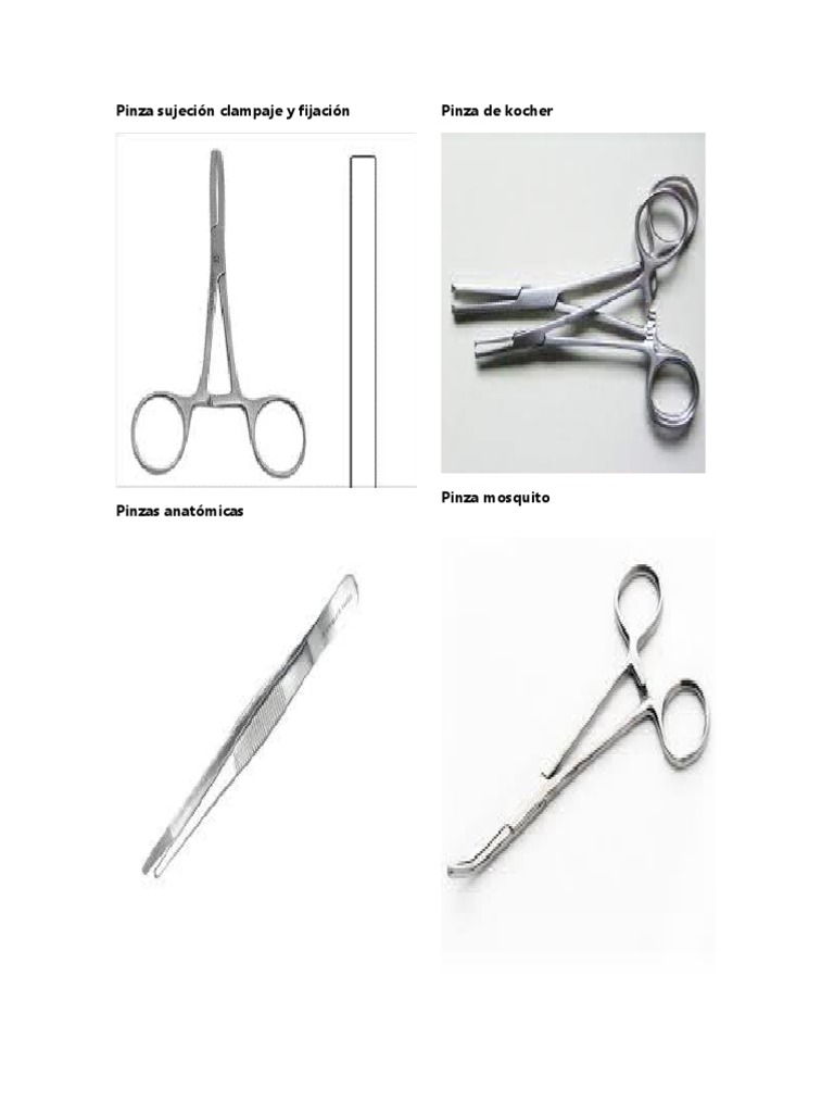 Tipos de Pinzas Quirúrgicas y Sujeción | PDF | Hogar, jardinería y ...