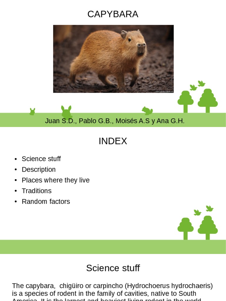 Capybara: The World's Largest Rodent | PDF