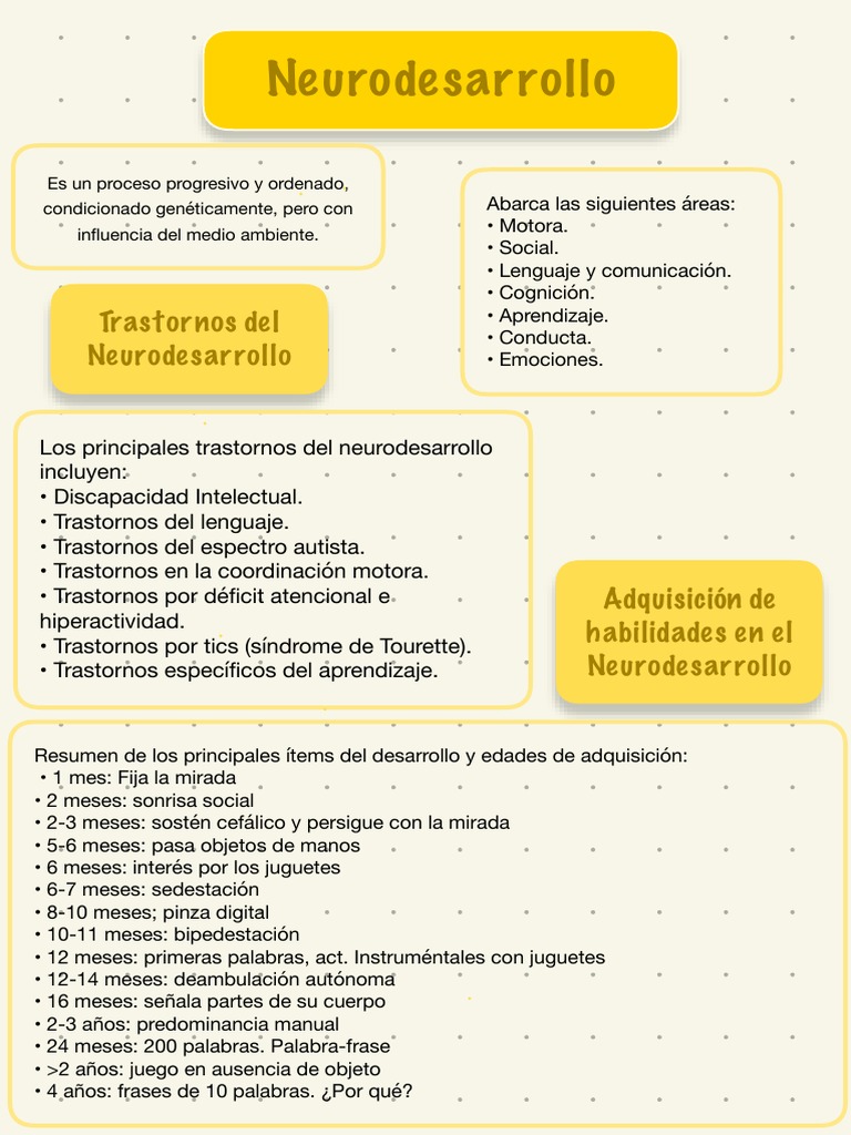 Neurodesarrollo | PDF | Neuroplasticidad | Aprendizaje