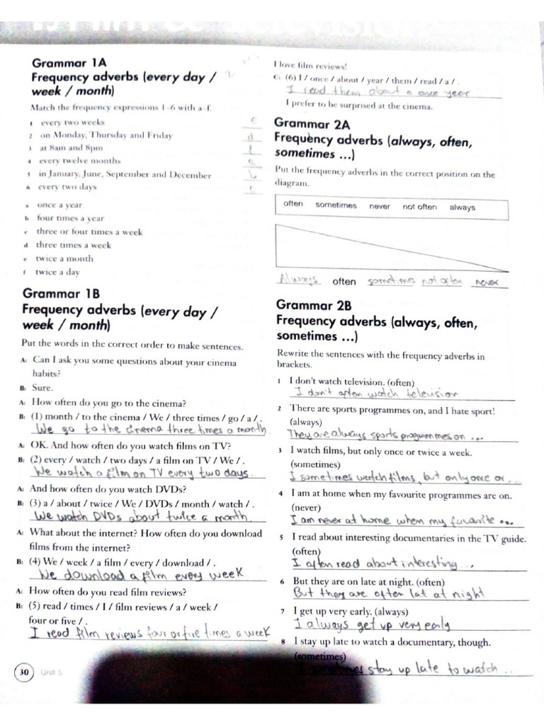 Básico 4 Workbook | PDF