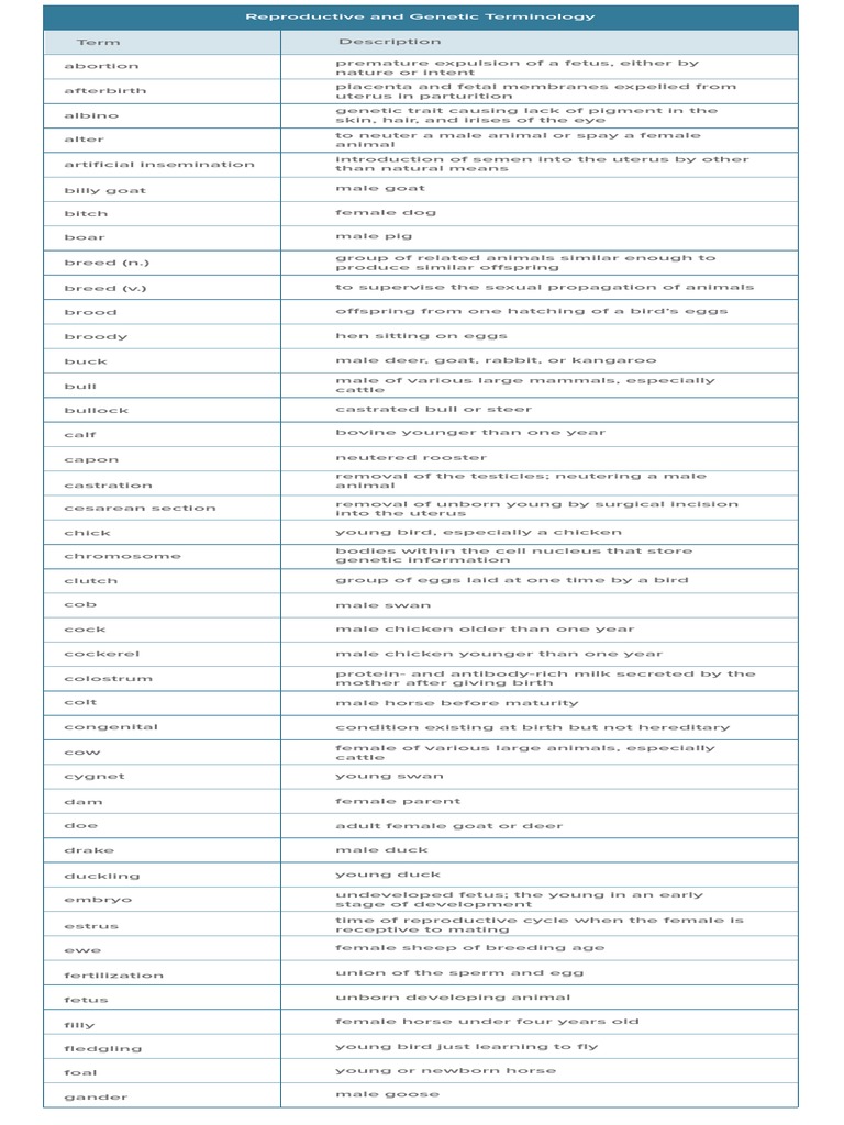 Vet Terminology | PDF