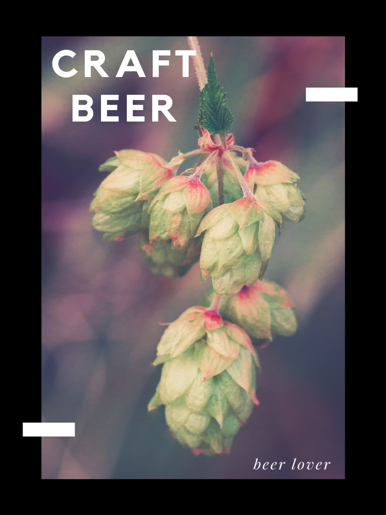 Craft Beer | PDF