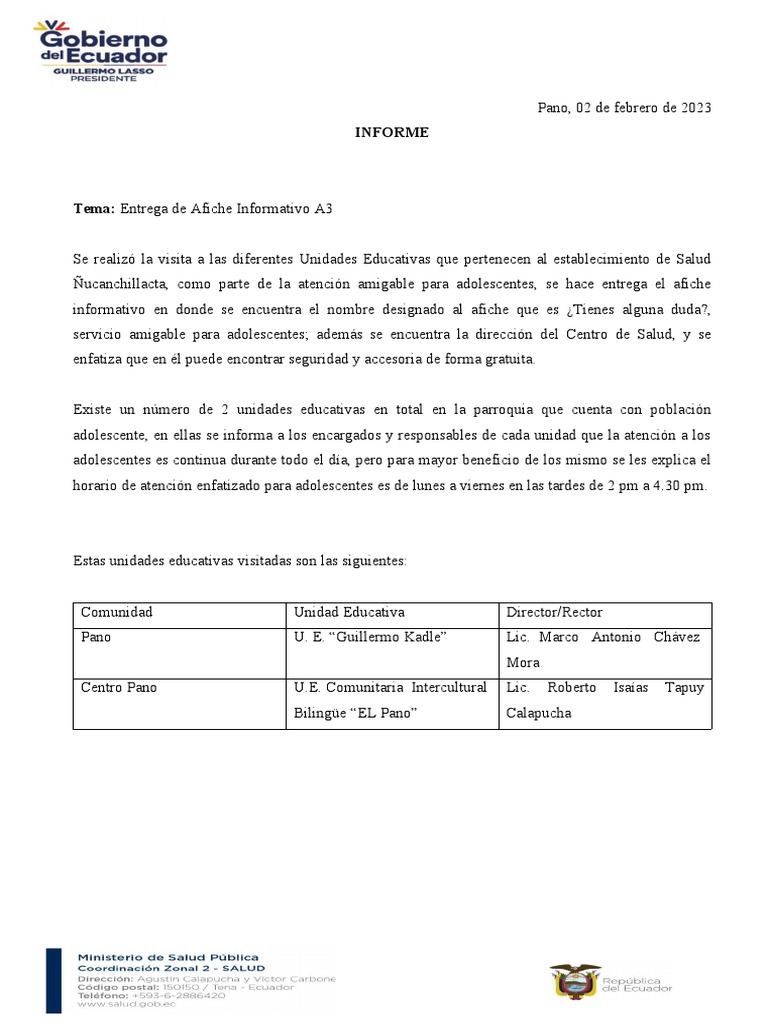 Informe Entrega de Afiche | PDF