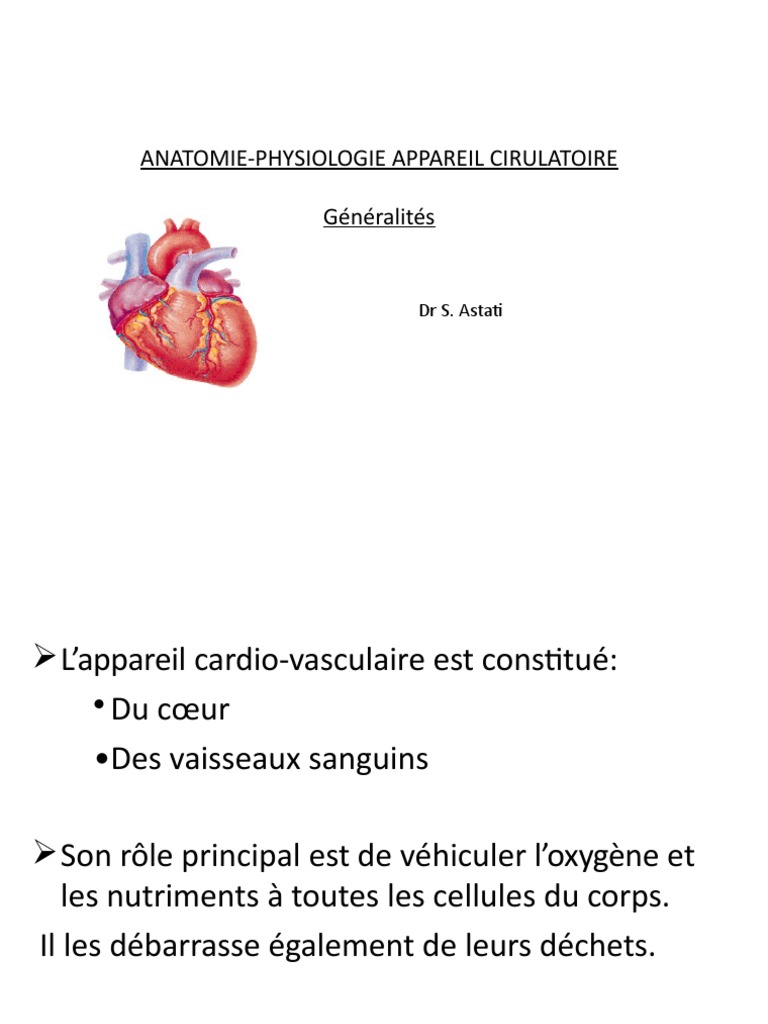 Types de vaisseaux sanguins expliqués | PDF | Vaisseau sanguin | Sang
