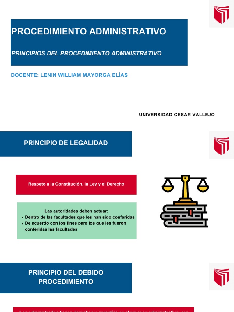PROCEDIMIENTO ADMINISTRATIVO PRINCIPIOS DEL PROCEDIMIENTO ADMINISTRATIVO (1) | PDF | Principios ...