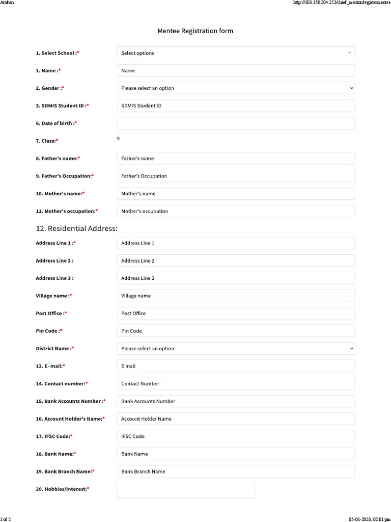 Mentee Registration Form | PDF