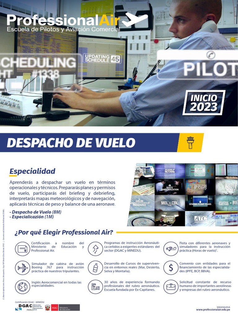 Despacho de Vuelo | PDF