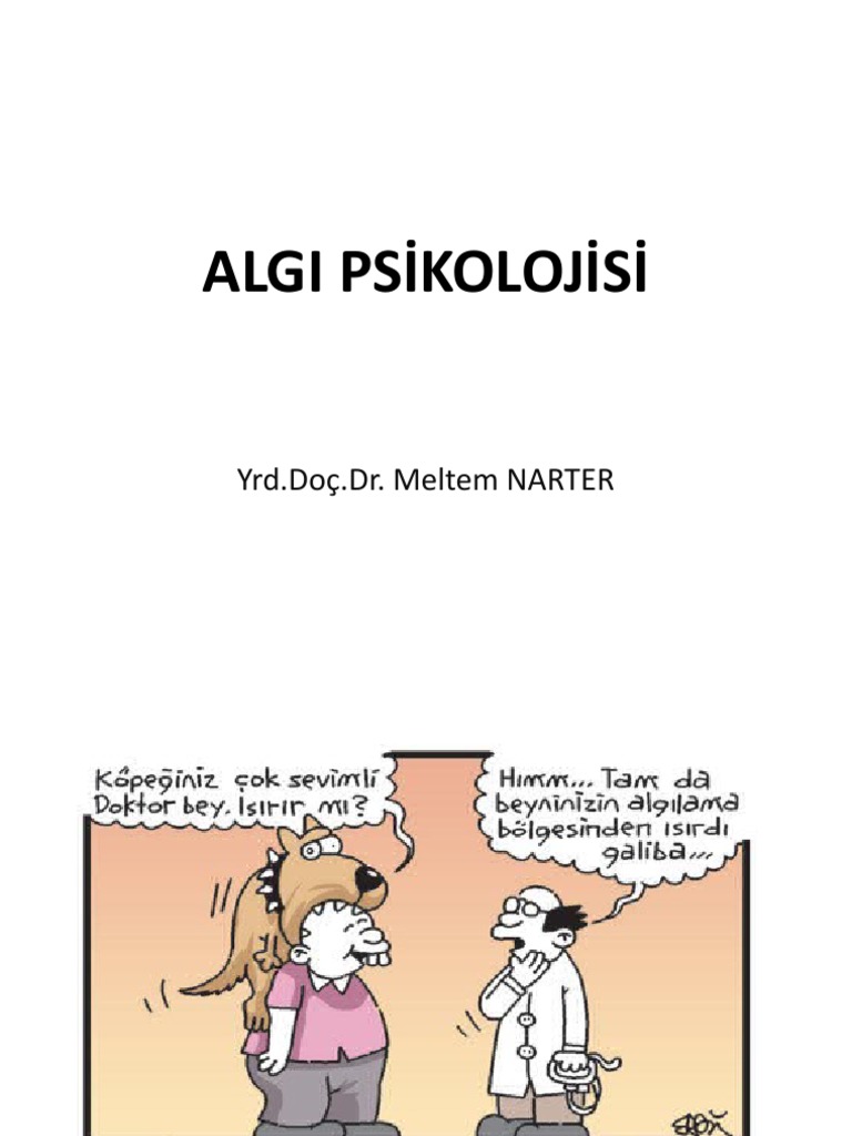 Algi Psikolojisi | PDF