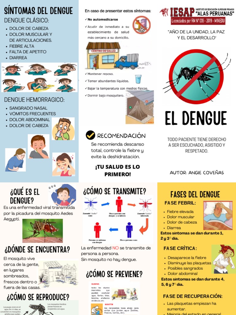 Tríptico Sobre El Dengue | PDF | Causas de la muerte | Especialidades ...