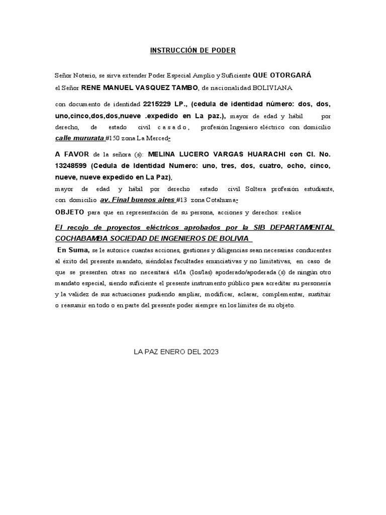 Formulario A-Instructiva de Poder | PDF