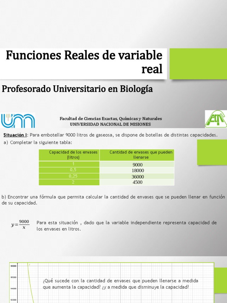 Funciones reales de variable real_Parte IV_2023 | PDF | Gases | Asíntota