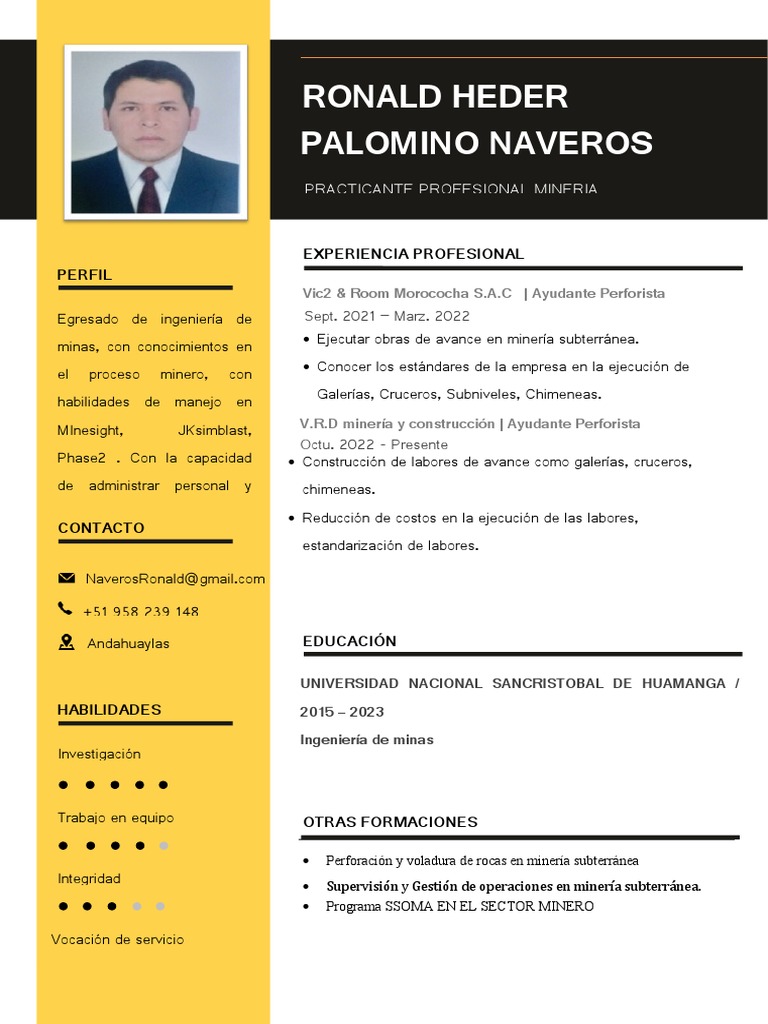 CV FUncional | PDF | Minería | Minerales
