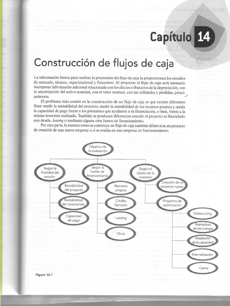 Capítulo 14 Form y Prep de Proyectos Sapag Edición 6ta | PDF