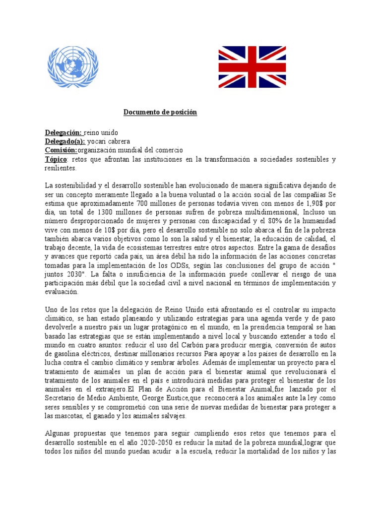 Documento de Posición | PDF