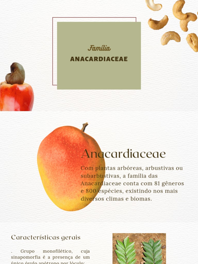 Características da Família Anacardiaceae | PDF | Casa e Jardim | Bem-estar